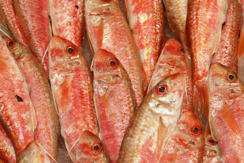 Goatfish stock image. Image of food, market, texture, taste - 804555
