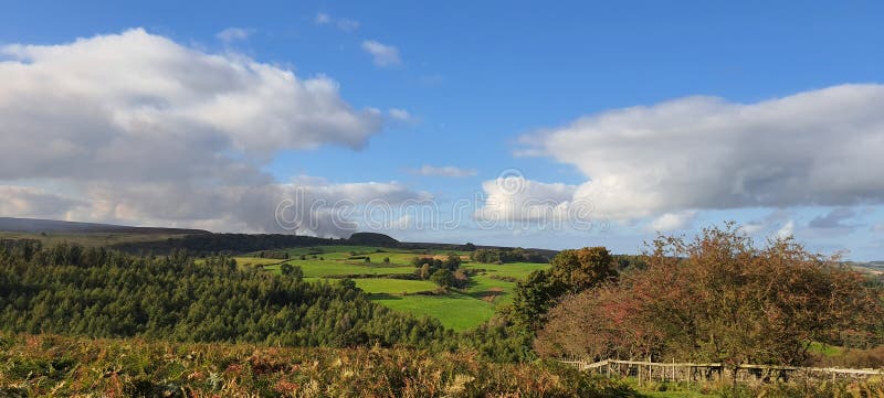 Goathland North Yorkshire Moors Stock Image - Image of yorkshire, tree ...