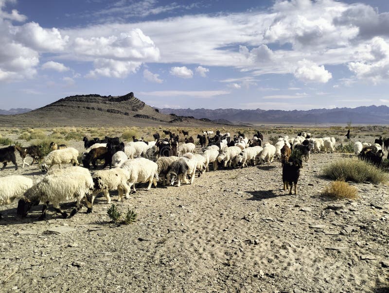 Goats and Mountain and White Cloud and White Sky Stock Photo - Image of ...