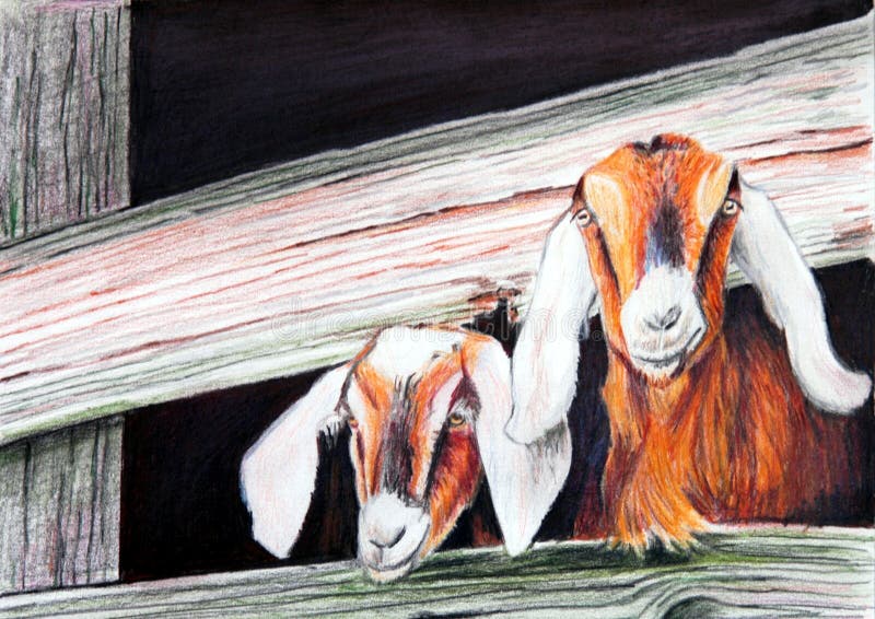 Goats Painting stock photo. Image of mammals, background - 5347460