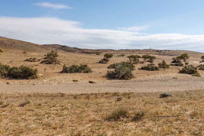 Gobi desert, Mongolia stock image. Image of area, blue - 146480697