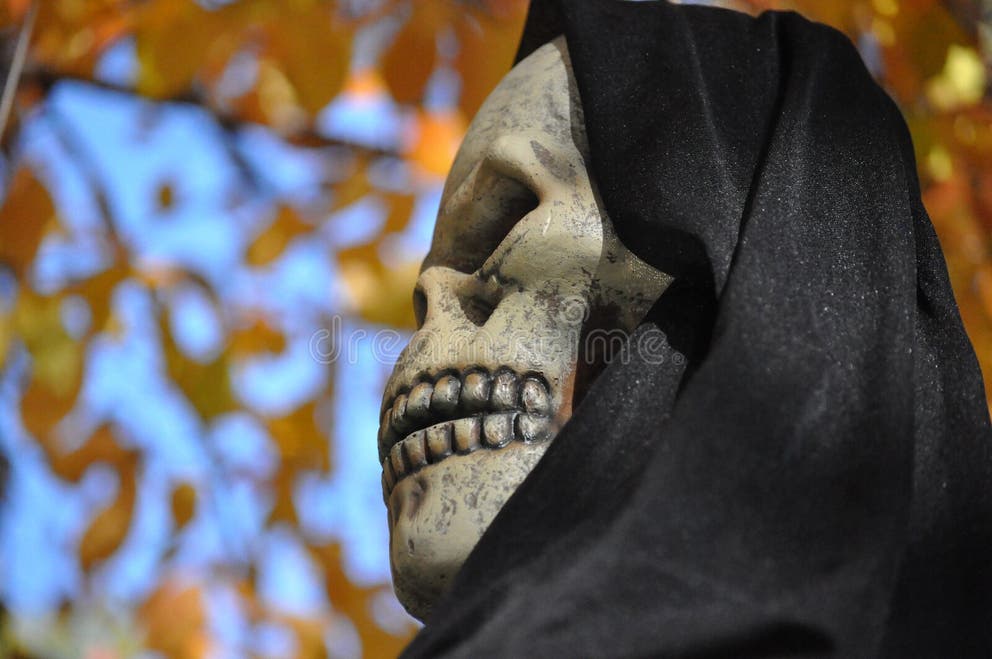 Goblin Skeleton stock image. Image of decorations, halloween - 12737653