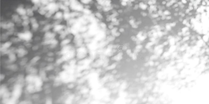 Gobo Light Effect with Leaf Shadows on White Wall Stock Vector ...