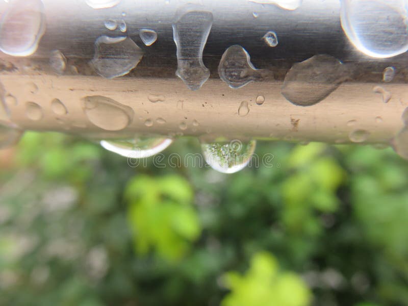 Gocce di rugiada stock photo. Image of color, world - 135280178