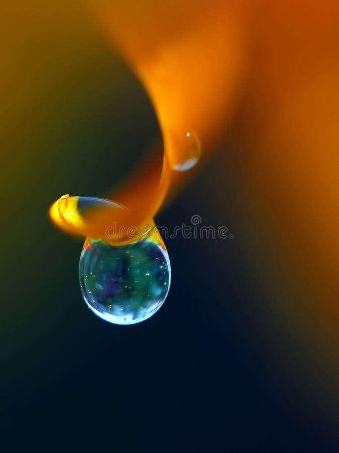 Goccia di rugiada fotografia stock. Immagine di sfondo - 22952252