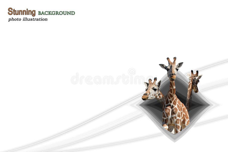 God Breathed Giraffe stock image. Image of giraffe, creation - 35298397