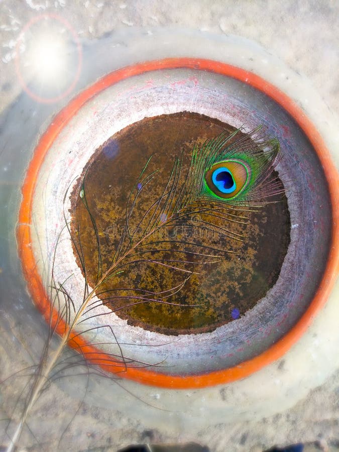 God krishna maur pankh stock image. Image of sunlightp - 188577281