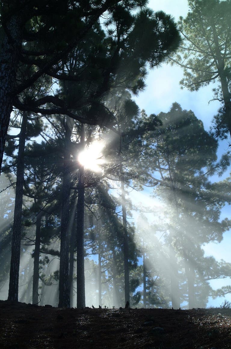 11,576 God Rays Stock Photos - Free & Royalty-Free Stock Photos from ...