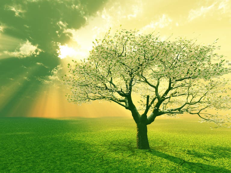 God Rays Stock Illustrations – 12,494 God Rays Stock Illustrations ...