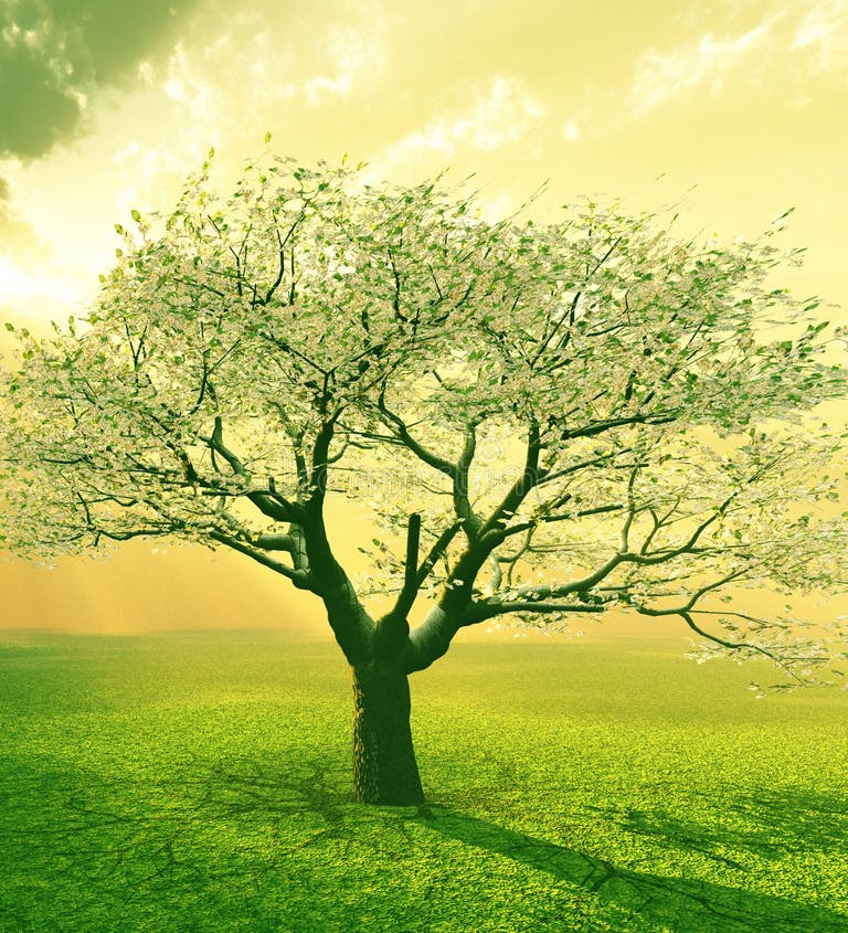 God Rays Stock Illustrations – 9,830 God Rays Stock Illustrations ...