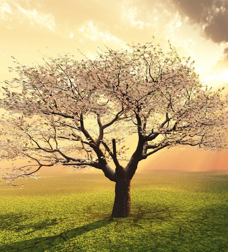 God Rays Stock Illustrations – 10,227 God Rays Stock Illustrations ...