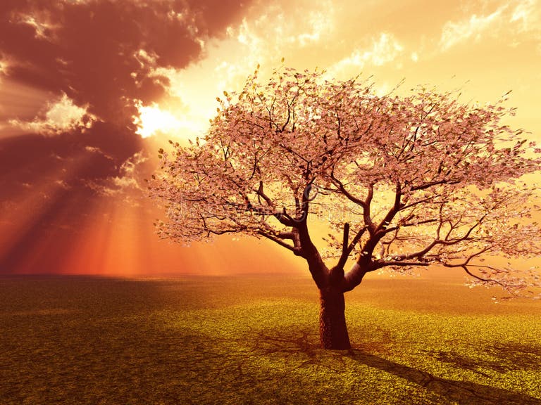 God Rays Stock Illustrations – 10,227 God Rays Stock Illustrations ...