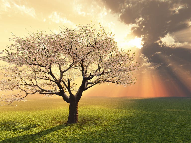 God Rays Stock Illustrations – 12,494 God Rays Stock Illustrations ...