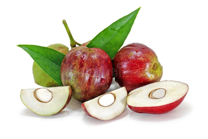 Phaleria Macrocarpa Fruit or God`s Crown Fruit Isolated on White Stock ...