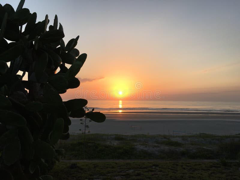 God s sunrise2 stock photo. Image of florida, beach, sunrise - 74556290