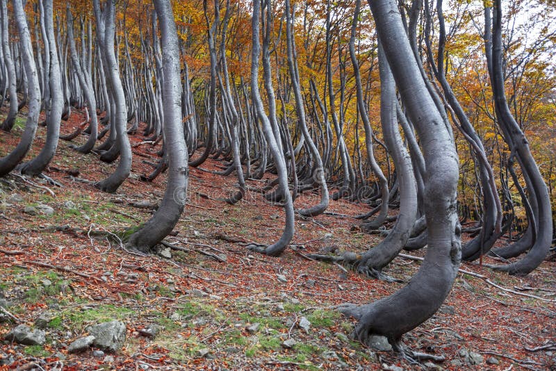 Vanished I Has Stock Photos - Free & Royalty-Free Stock Photos from ...