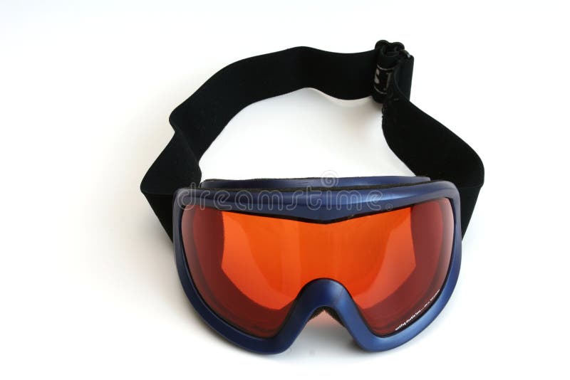 Sitting Pretty stock photo. Image of express, friendliness - 530244