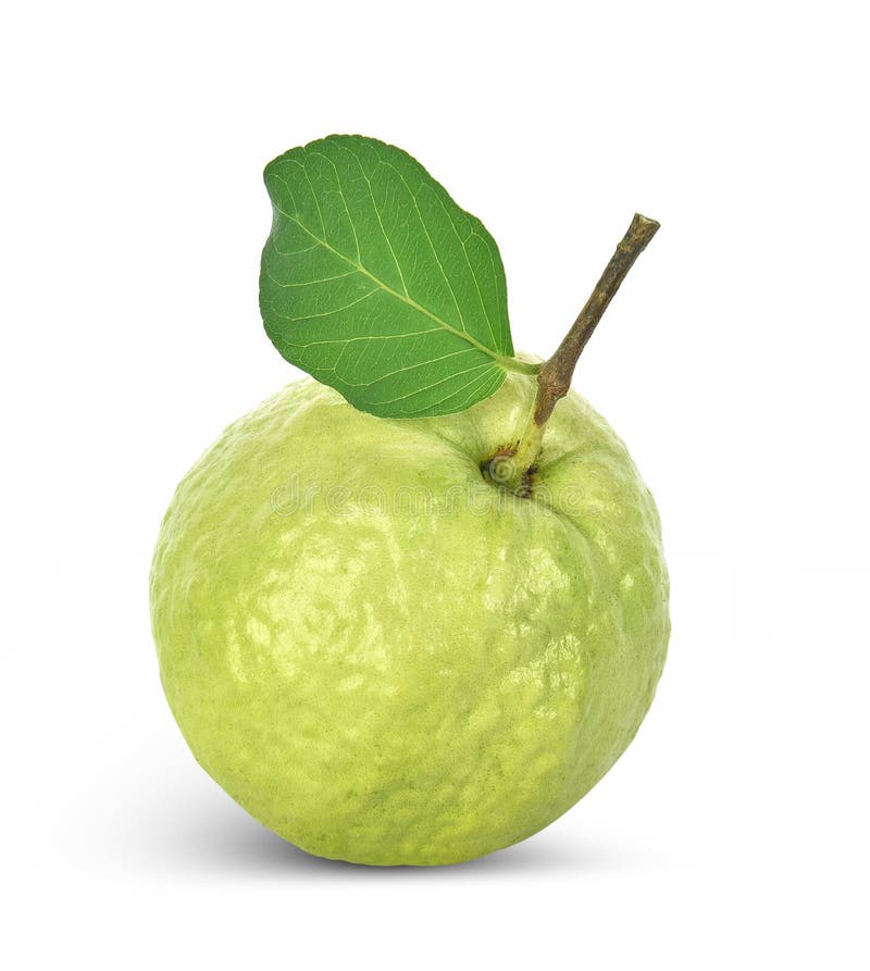 Goiaba Isolada No Fundo Branco Imagem de Stock - Imagem de suculento ...
