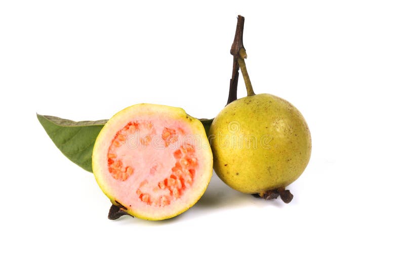 Goiaba Rosa Com Fundo Branco Foto de Stock - Imagem de verde, vista ...