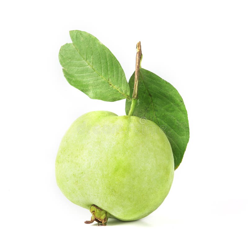 Goiaba Doce Fresca Verde No Fundo Branco Imagem de Stock - Imagem de ...