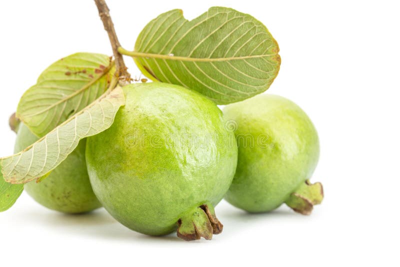 Goiaba Tailandesa No Fundo Branco Foto de Stock - Imagem de gostoso ...