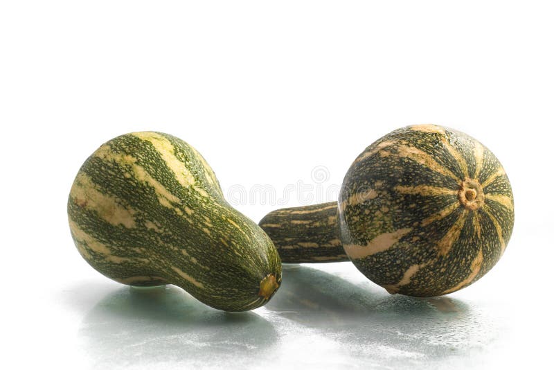 Pumpkin, cucurbita pepo stock photo. Image of rustic, vulgaris - 9123022