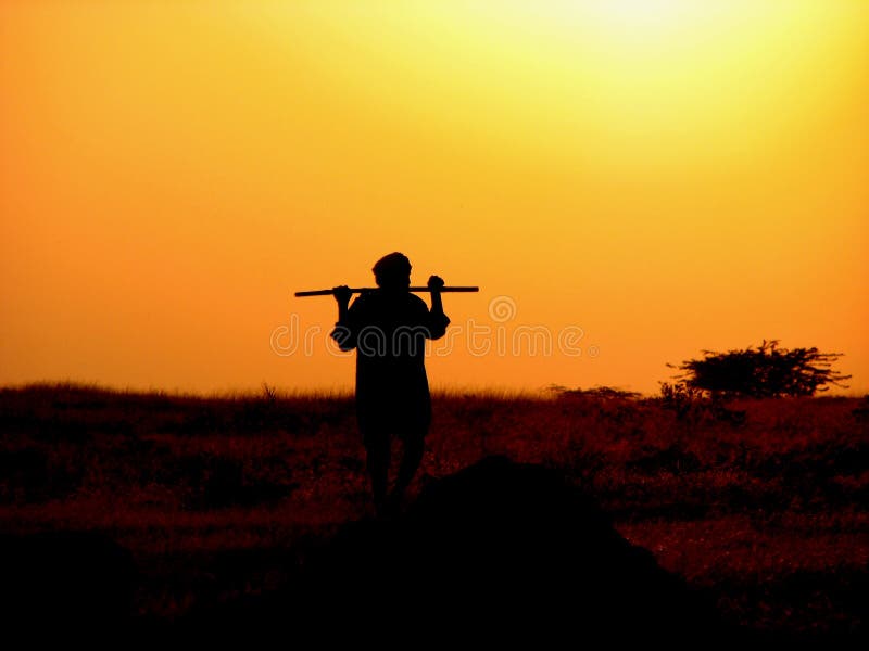 Goin Home stock photo. Image of fields, bright, brightness - 1711436