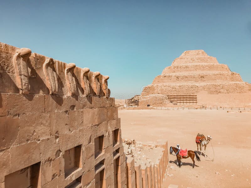 Going back in time stock image. Image of egypt, camel - 204681299