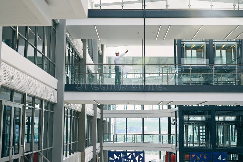 Going through the Building Process Step by Step. a Focused Professional ...