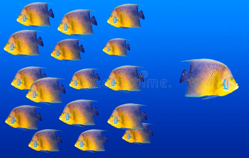 Going different way stock image. Image of concept, idea - 16013003