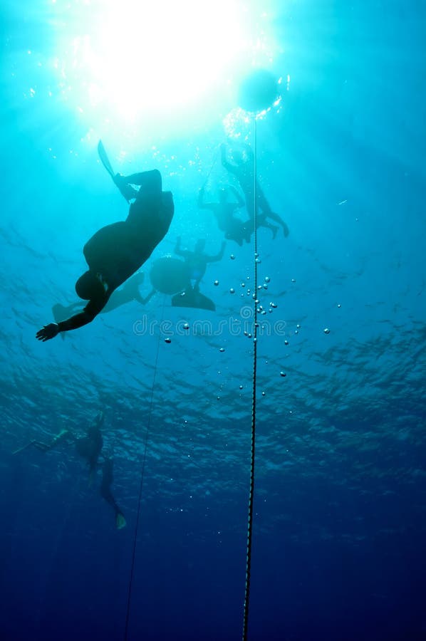 Going down stock photo. Image of diving, monofin, dive - 14910328