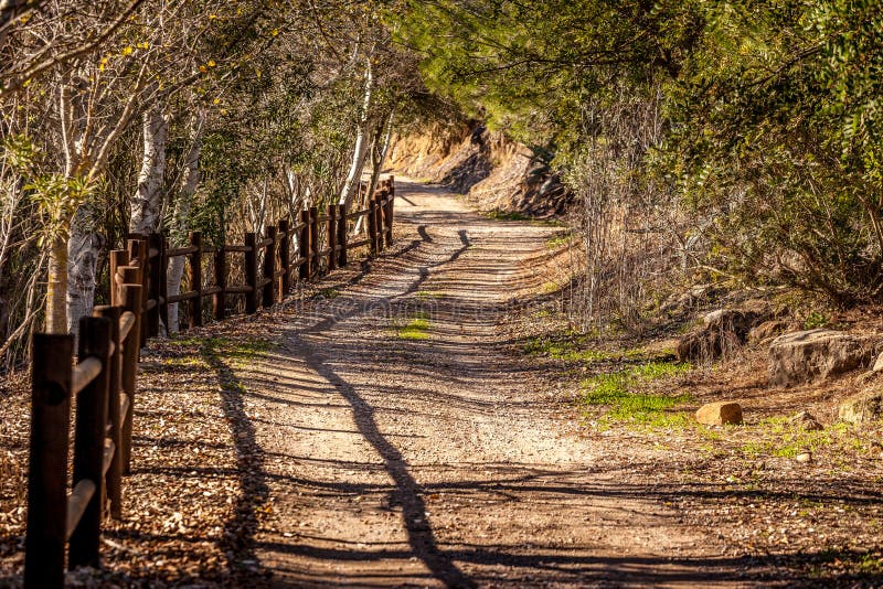 Going down the dirt road stock photo. Image of woods - 205976982