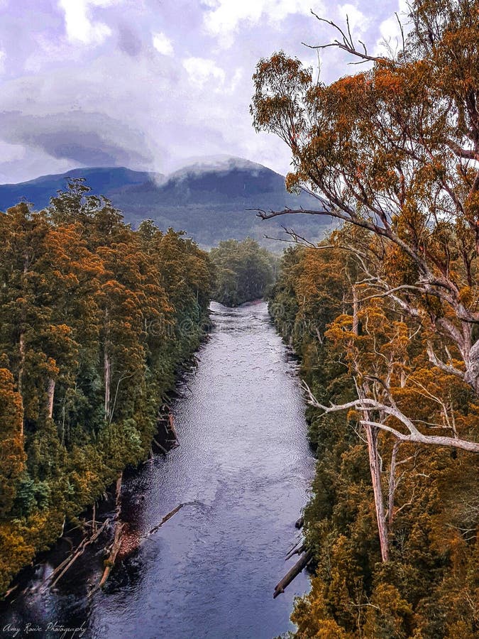 Going down stream stock image. Image of woodland, mountain - 247806073