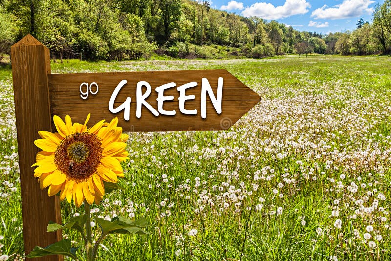 Going Green Concept stock image. Image of environment - 161774449