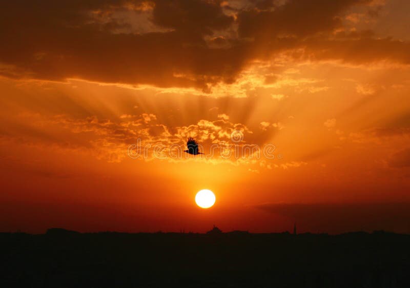 Going Home Alone stock photo. Image of quiet, calm, light - 15709984