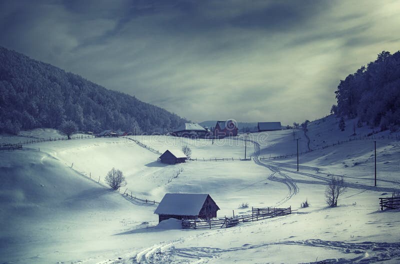 Going home stock image. Image of trees, nature, winter - 39599727