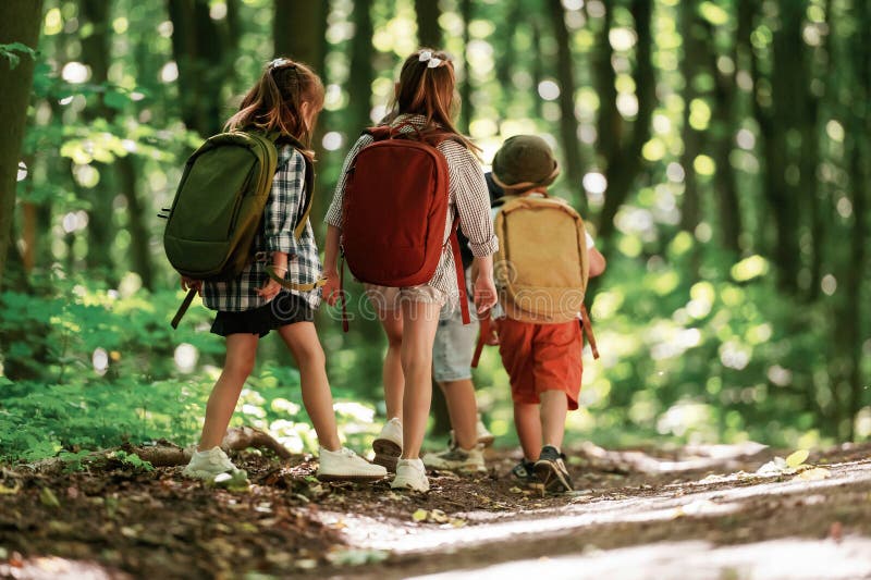 Going on the Pathway. Kids in Forest at Summer Daytime Together Stock ...