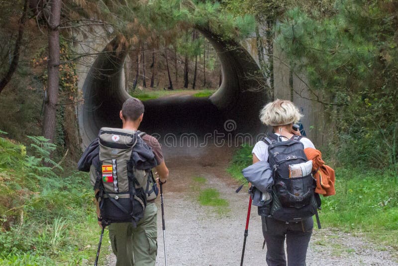 Going in the Same Direction Together through Difficulties Editorial ...