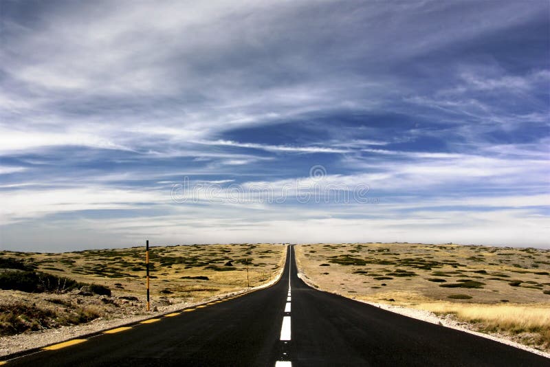 Going to nowhere stock photo. Image of meadow, fast, nature - 2731282
