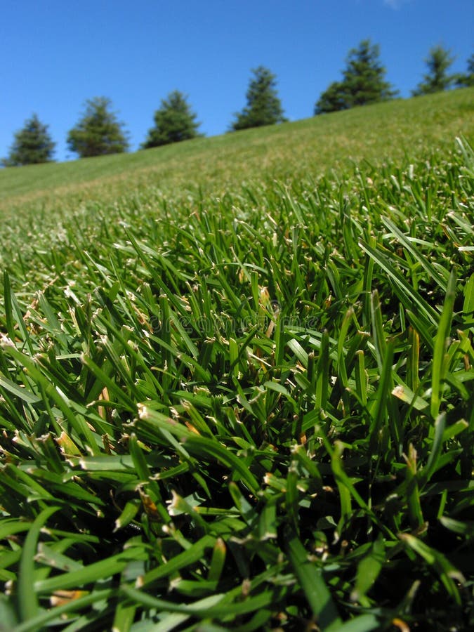 Going Up a Hill stock image. Image of grass, michigan, blue - 11047