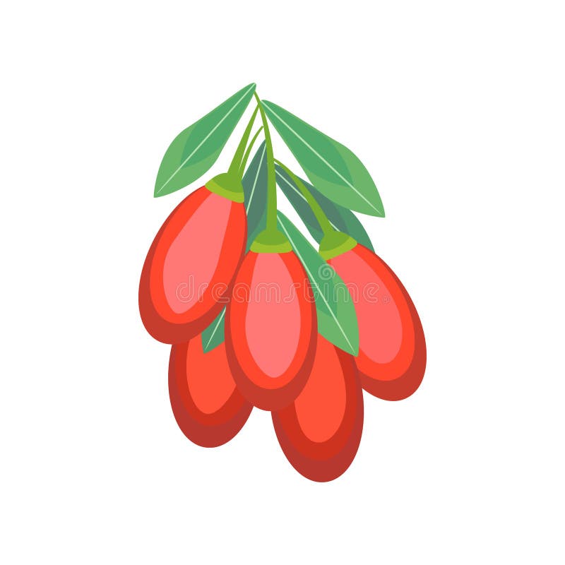 Happy goji berries stock illustration. Illustration of cartoon - 34219750