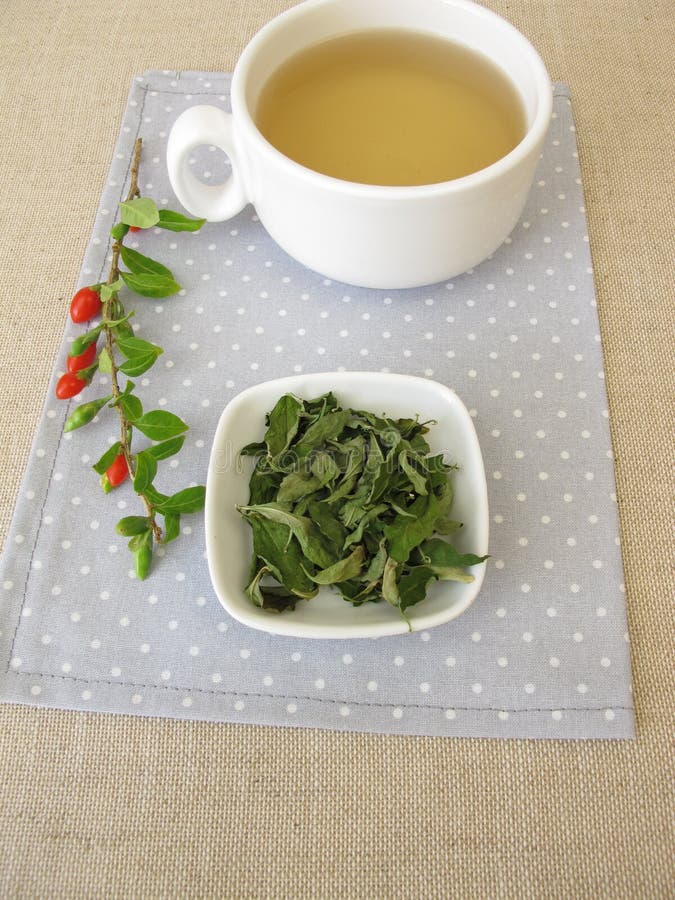 Goji leaves tea stock photo. Image of leaf, goji, berry - 150696918