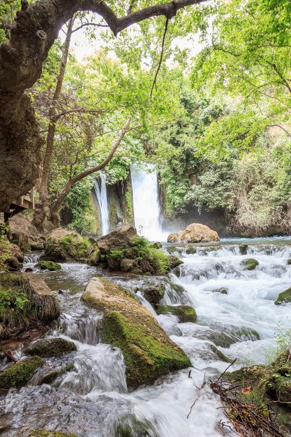 Golan Heights. Banias Nature Reserve. Banias Waterfall Stock Photo ...