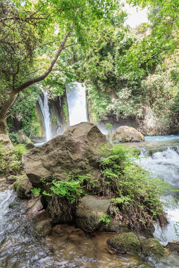 Golan Heights. Banias Nature Reserve. Banias Waterfall Stock Photo ...