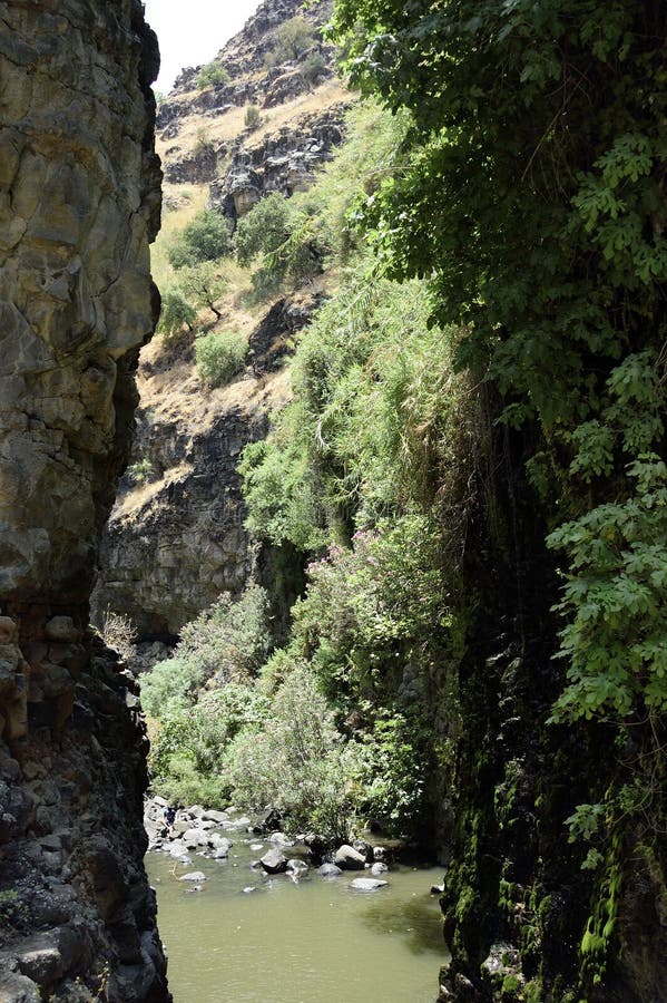 Golan Heights Gorge Landscape. Stock Photo - Image of gorge, river ...