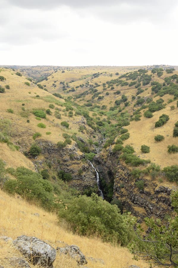 Golan Heights Landscape, Israel. Stock Image - Image of hill, grass ...