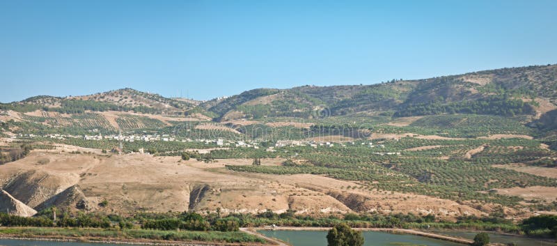 Golan Heights . stock photo. Image of mountain, arid - 33604206
