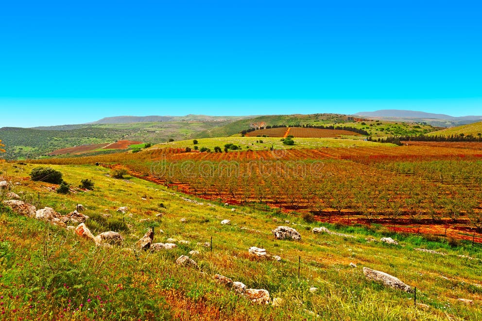 Golan Heights stock photo. Image of earth, countryside - 32226076