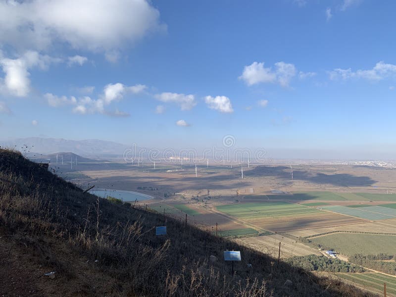 Golan Heights stock photo. Image of plateau, tree, nature - 231081814