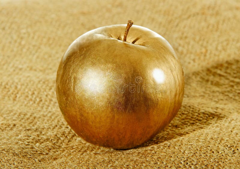 Gold apple. stock photo. Image of rich, gold, fruit, macro - 27632854